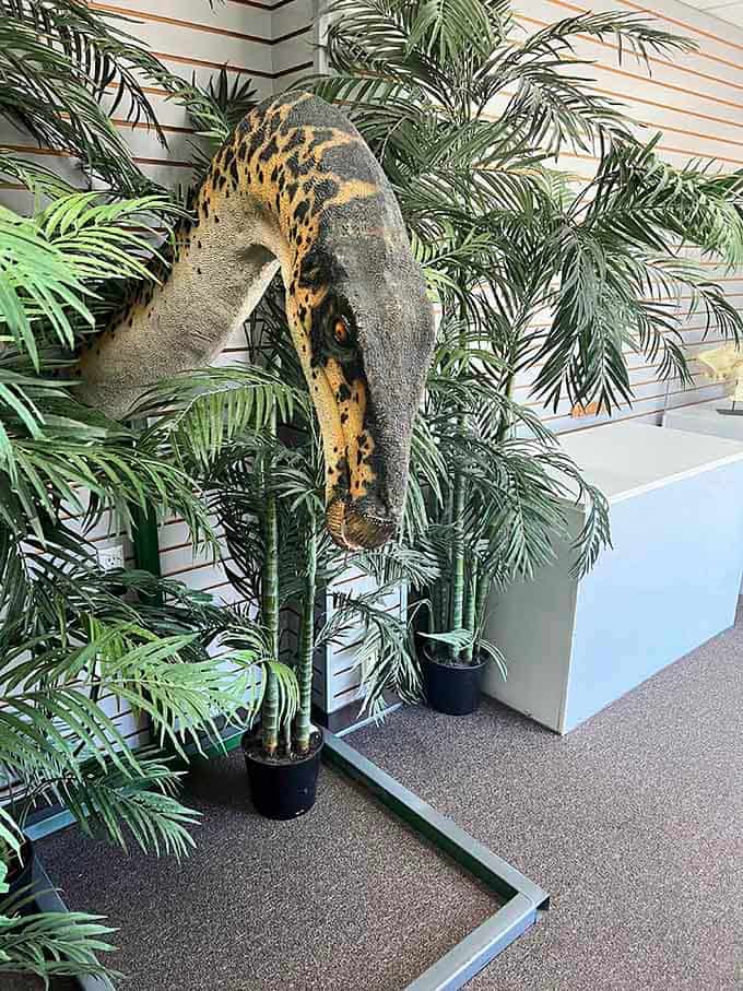 The Titanoboa skeleton reminds us that prehistoric snakes made today's pythons look like adorable garden hoses comparatively.