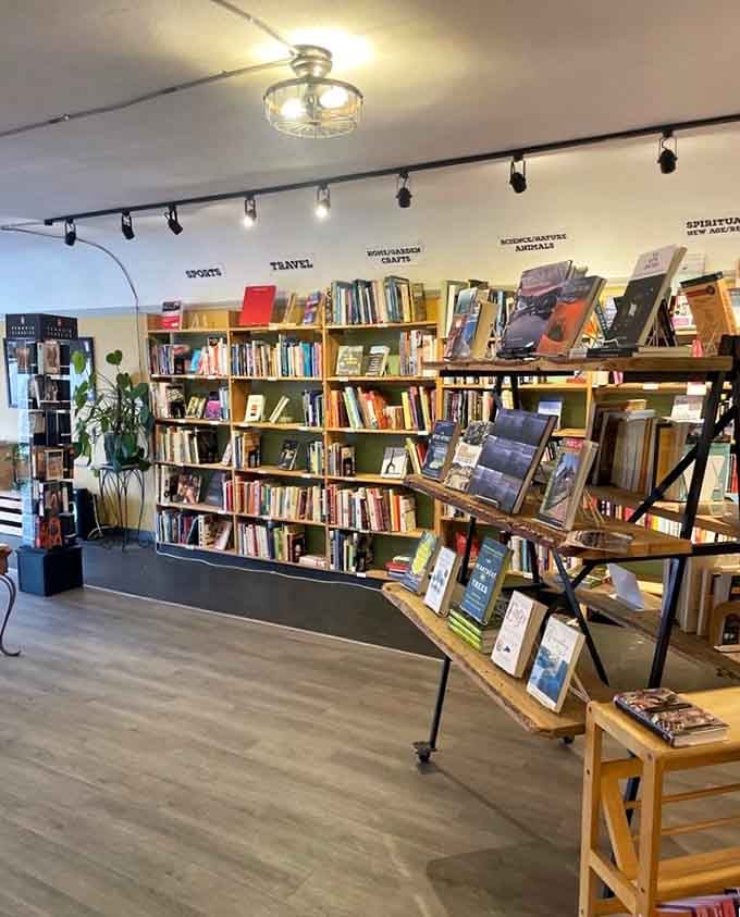 Thoughtfully arranged displays with clear category labels guide you through sports, travel, and spiritual journeys effortlessly.