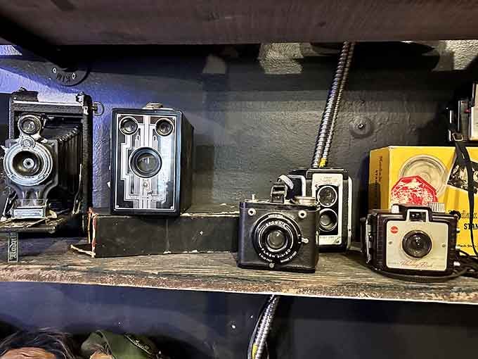 Vintage cameras line up like technological fossils, reminding us that Instagram filters have nothing on genuine mechanical craftsmanship.