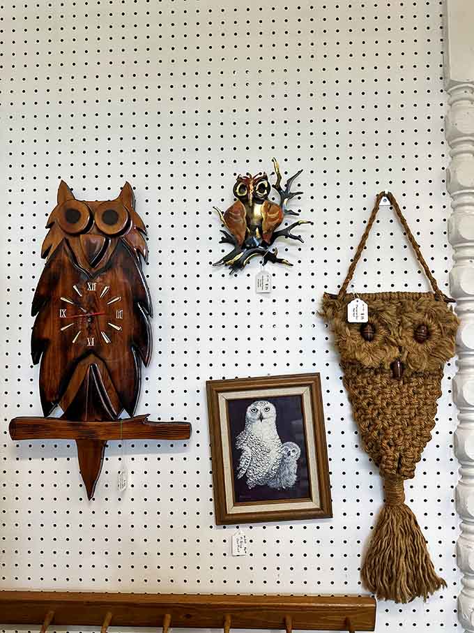 Owl decor for every taste, from whimsical to sophisticated, proving someone's collecting obsession is your decorating solution.