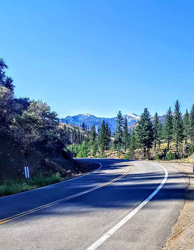 Snow-capped peaks frame the road ahead, reminding you that California contains multitudes beyond beaches and boulevards.