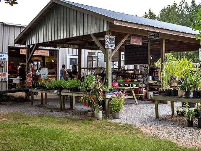 Fresh produce and homegrown charm overflow from this rustic market stand where everything tastes like it should taste.