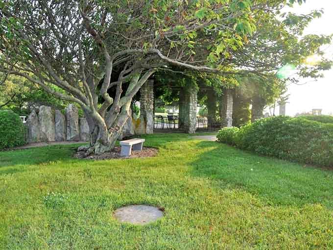 A peaceful spot where ancient trees provide shade and the kind of atmosphere that makes checking your phone feel almost sacrilegious.