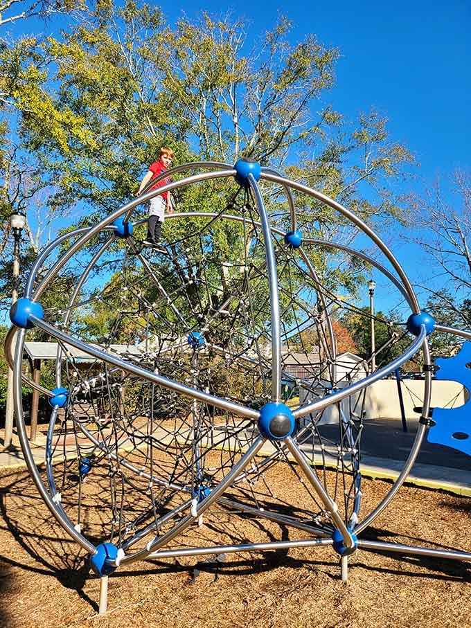This spider web climber challenges kids' coordination while parents hold their breath and clutch their phones nervously.
