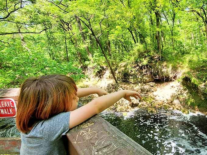 Young explorers discover that pointing at waterfalls is a universal language that transcends all ages and backgrounds.