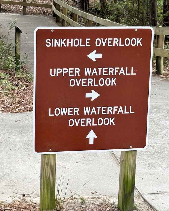 Clear signage means even directionally challenged visitors can find the waterfall without downloading three different navigation apps.