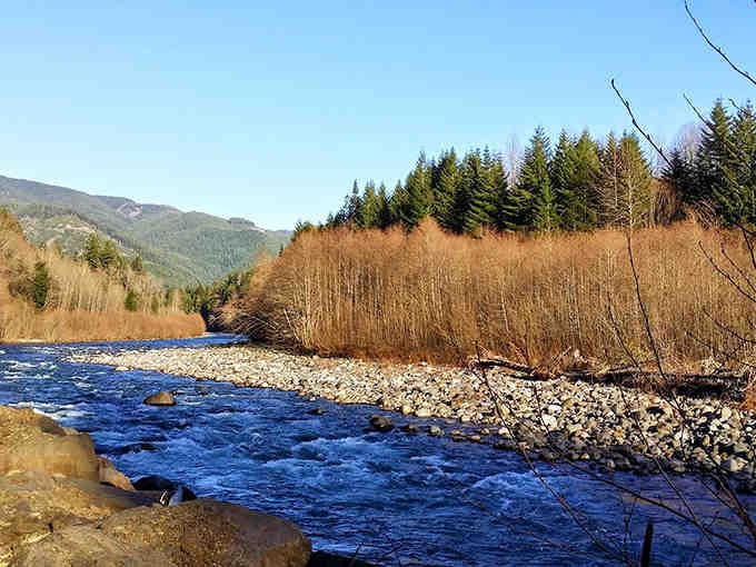Take in the breathtaking panoramic views at Federation Forest State Park, where the rushing river meets majestic evergreen mountain landscapes.