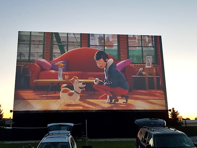 The Secret Life of Pets comes alive on the big screen as families settle in for showtime.