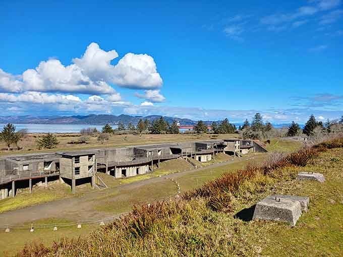 These sprawling military batteries once protected the Columbia River, now they protect our Instagram feeds from boring content.