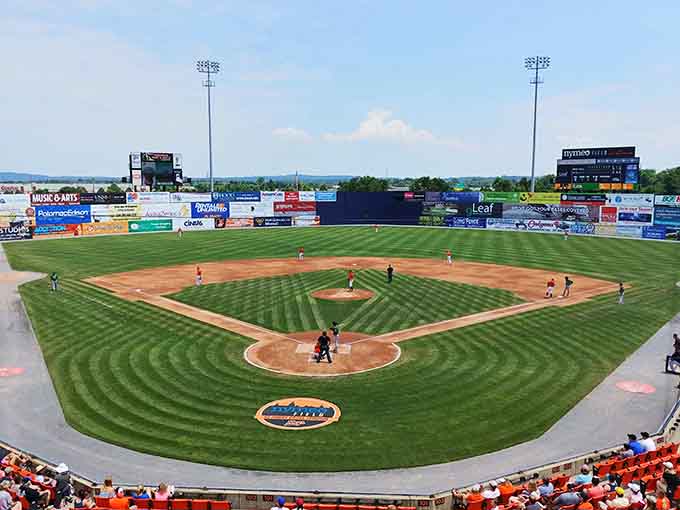 Baseball under blue skies and perfectly manicured grass, because some American traditions never get old.