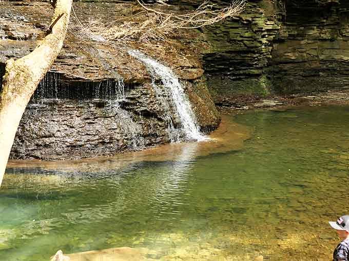 That crystal-clear water makes you understand why people used to write poetry about babbling brooks.