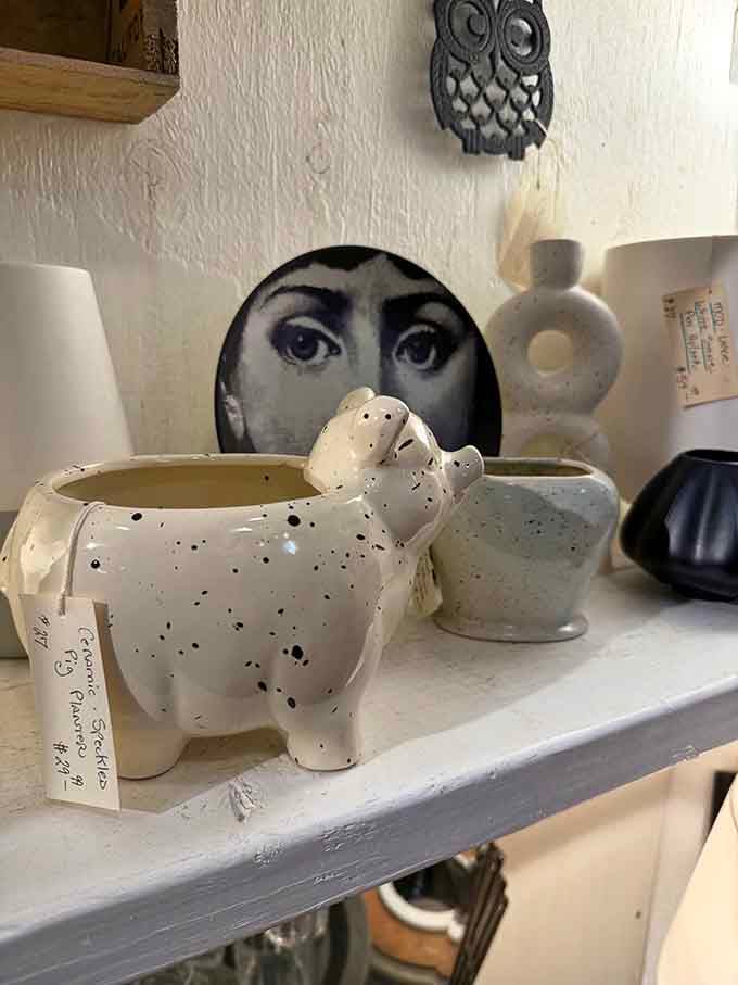 A ceramic hippo planter watches over the shelves with those knowing eyes that have seen it all.