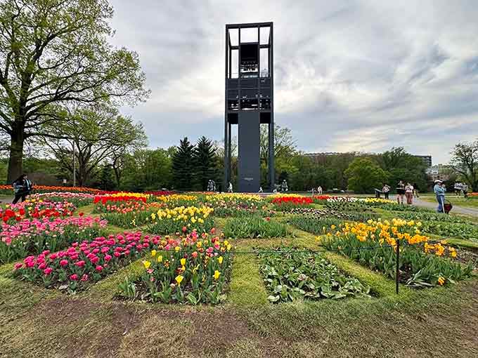 The Netherlands Carillon blooms with spring tulips, proving the Dutch really know how to say thank you with flowers.
