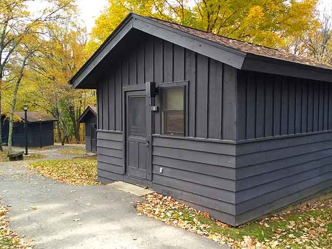 These cozy cabins offer rustic charm with modern comfort, perfect for folks who like camping without the tent hassle.