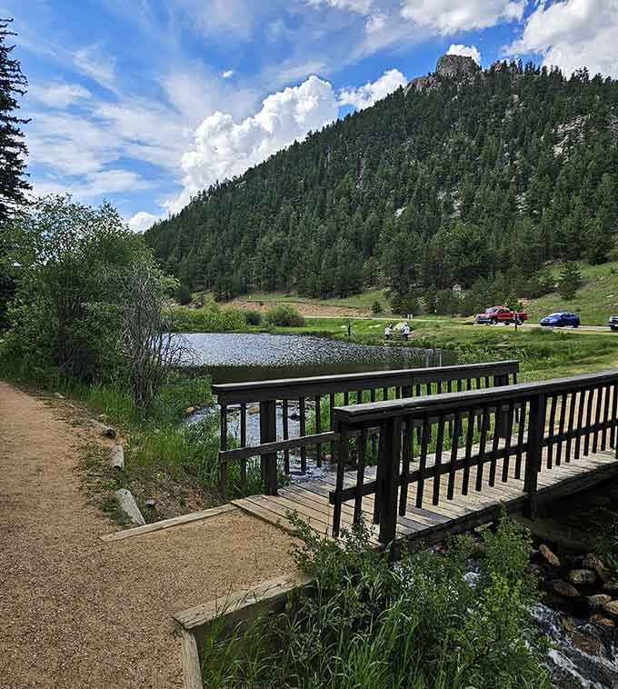 A peaceful bridge over calm waters, because sometimes the journey really is better than the destination itself.
