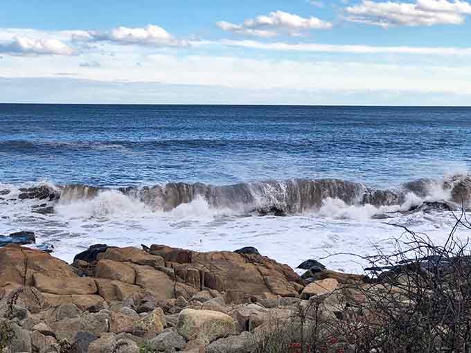 Winter waves crash against the rocks with dramatic flair, proving this beach delivers year-round entertainment better than most streaming services.