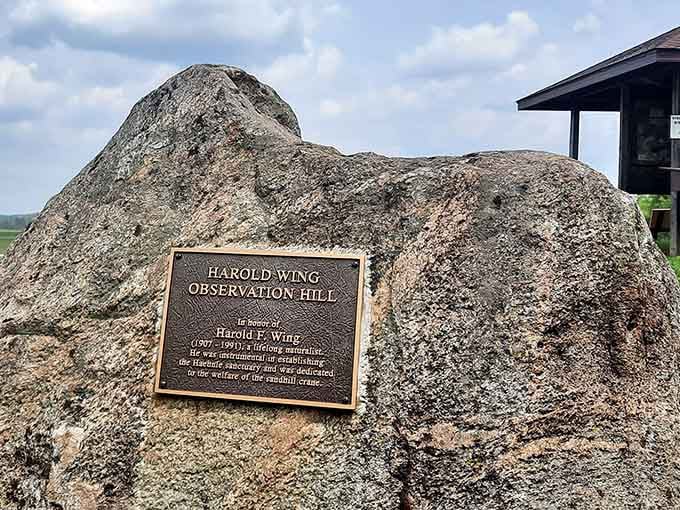 Harold Wing Observation Hill stands as a testament to those who understood that some places deserve protection.