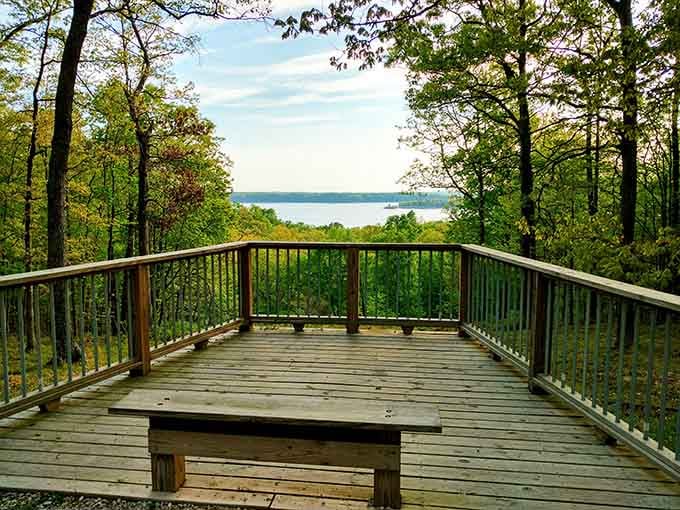 Views from this deck prove that sometimes the best attractions are the ones nobody's instagramming yet.