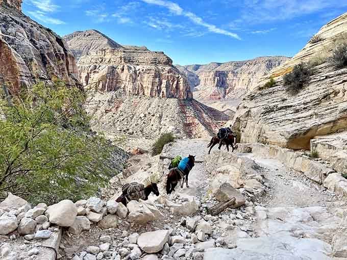 The rocky trail through Havasu Canyon winds between boulders that have been playing geological Tetris for millennia.