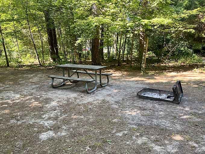 Your campsite awaits with a view, a grill, and blissful silence that money truly cannot buy.