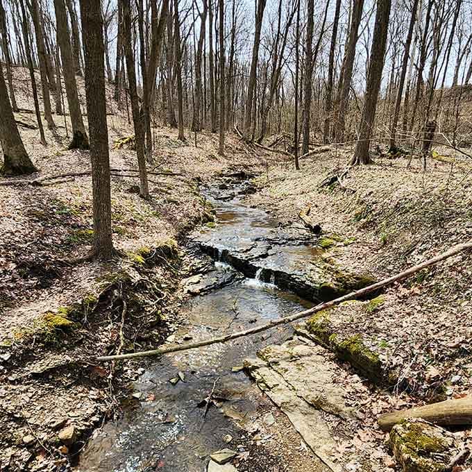 During drier months, the stream becomes a gentle trickle, proving beauty doesn't always need volume.