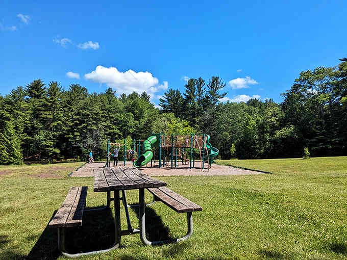 Even the playground gets a forest backdrop here, because why shouldn't kids swing with a view of actual nature?