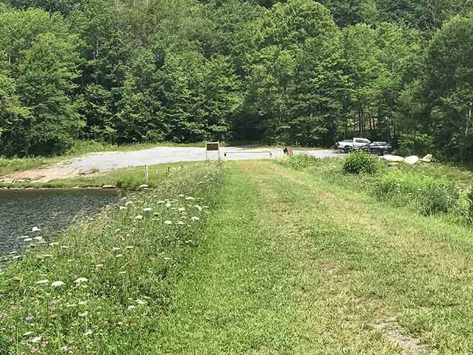 The path less traveled looks pretty inviting when it's carpeted in autumn's finest work.