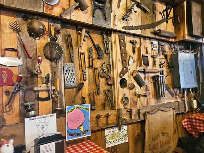 Vintage kitchen gadgets displayed like art, reminding us that people cooked before stainless steel existed.