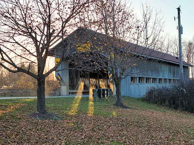 Golden hour light streaming through creates shadows and highlights that would make any photographer weep with joy.