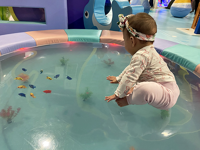 Interactive floor displays that turn simple touching into marine biology lessons disguised as pure entertainment and wonder.