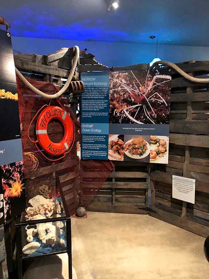 Educational displays blend ocean ecology with mermaid mythology, proving learning can happen anywhere, even among the fantastical.