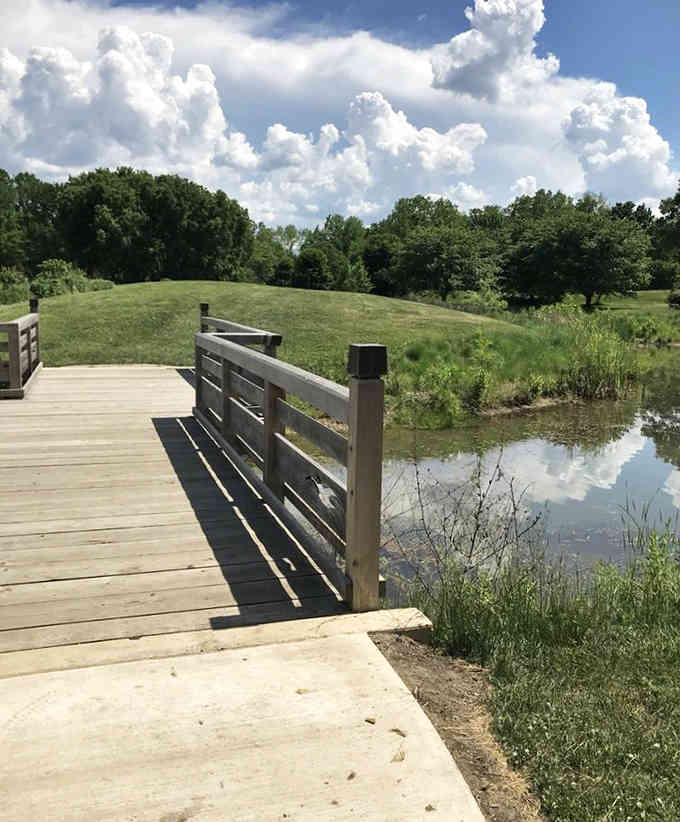 A wooden bridge spans the water, connecting you to nature and your inner peace simultaneously.