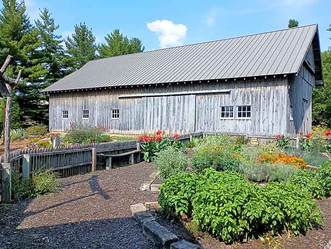 This weathered barn surrounded by gardens shows that rustic charm and careful cultivation make perfect neighbors after all.