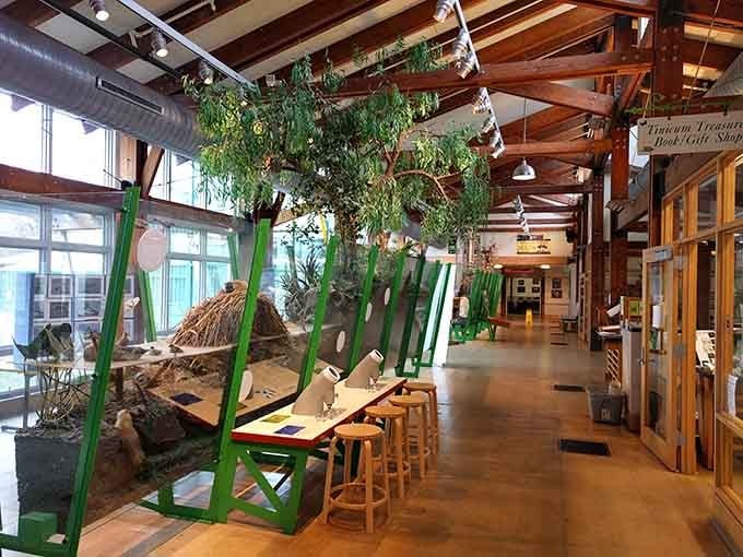 The education center brings wetland wonders indoors, complete with exhibits that make learning feel like adventure.