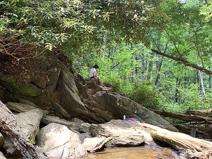 That rocky overhang isn't just scenery, it's front-row seating to one of nature's longest-running shows in the state.