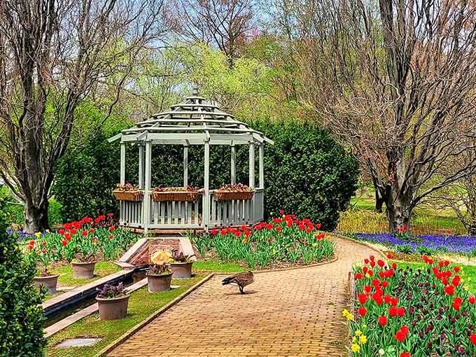 A classic gazebo surrounded by spring tulips offers the perfect spot for contemplation or romantic Jane Austen fantasies.