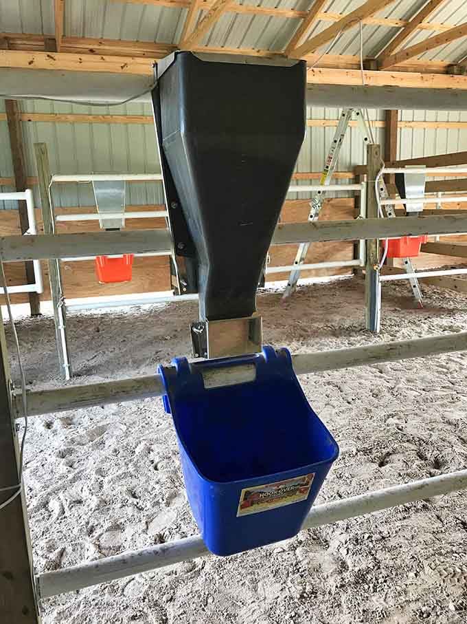 Even the feeding system here is designed with care, making sure every horse gets proper nutrition.