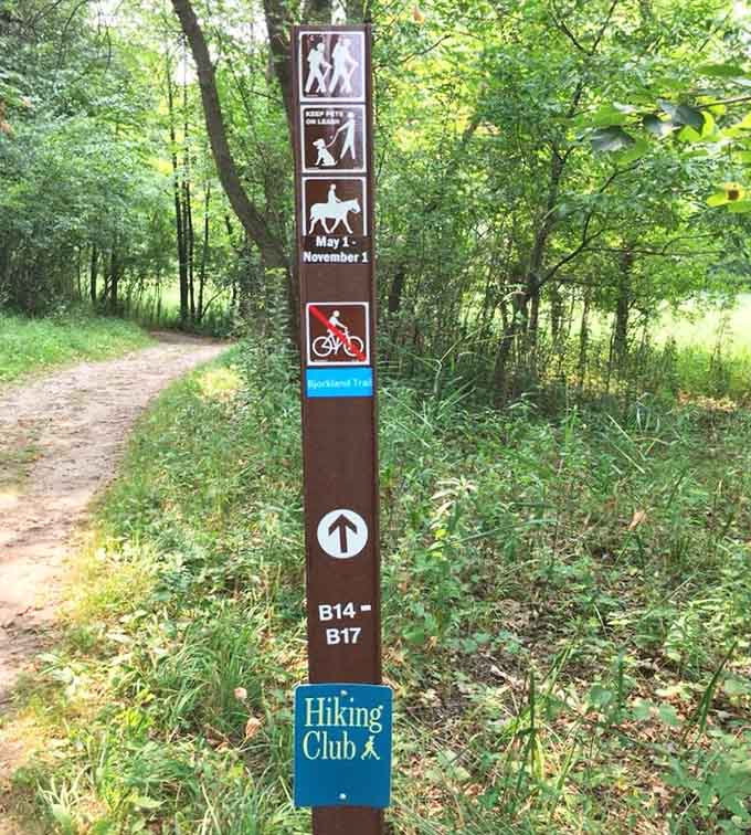 Trail markers keeping you on track better than your car's GPS ever could in the city.