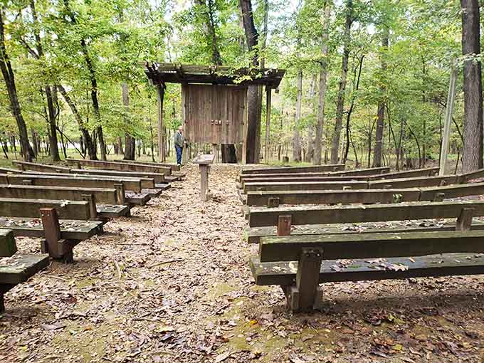 An outdoor amphitheater where nature provides the acoustics and the scenery steals the show completely.