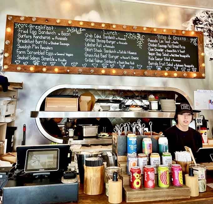The chalkboard menu changes with seasonal bounty, handwritten charm announcing today's fresh-caught treasures and farm finds.