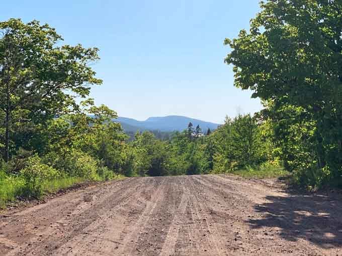 This logging road stretches toward distant hills, offering views that make you forget you're driving through what's essentially a graveyard.