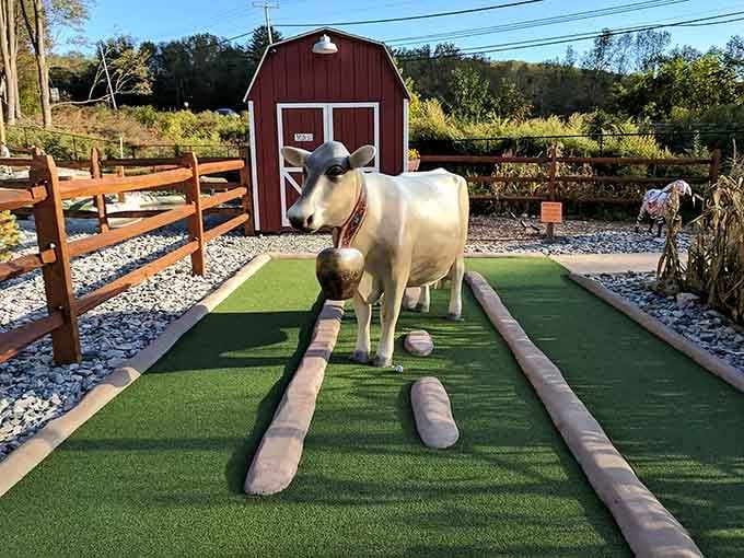 A Swiss cow obstacle that's udderly committed to blocking your perfect shot. Sorry, had to.