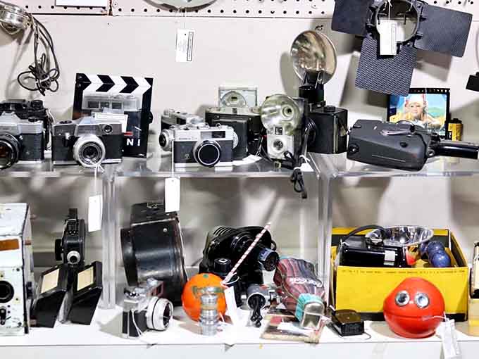 Vintage cameras lined up like a photographer's hall of fame, each one capturing memories from decades past perfectly.