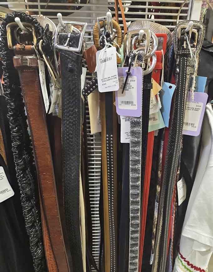 Belts in every style imaginable, from practical leather to statement pieces that defined entire fashion eras.