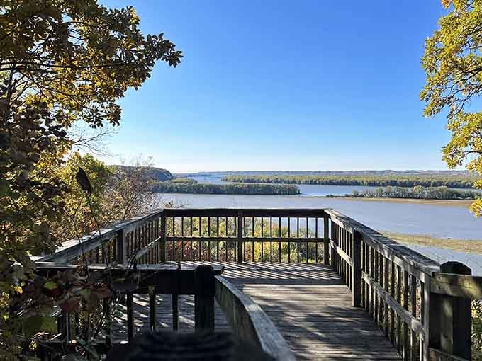 The viewing platform extends over the bluff edge, offering panoramic Mississippi River vistas that'll make your heart skip.