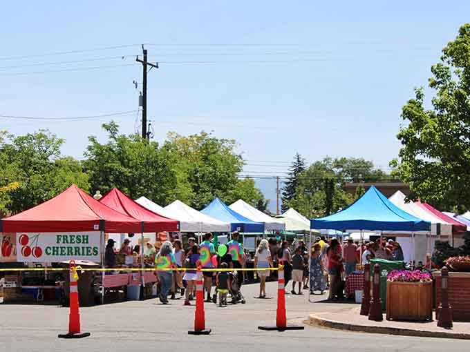 Farmers Market brings fresh local produce and community spirit together under cheerful tent canopies weekly.