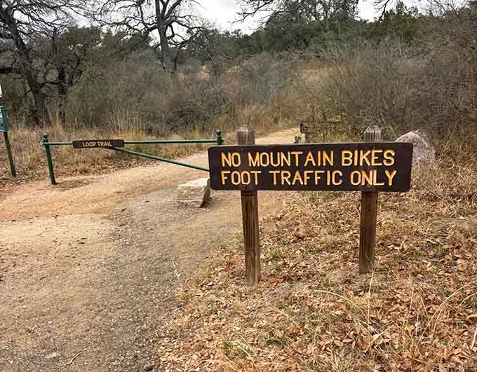 The trail gently reminds mountain bikers that some paths are meant for contemplative strolling, not Tour de France reenactments.