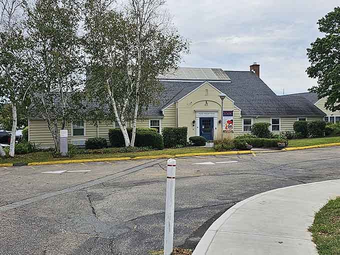 Mystic Museum of Art: Unassuming exterior hiding creative treasures, proving you can't judge a cultural institution by its modest facade.