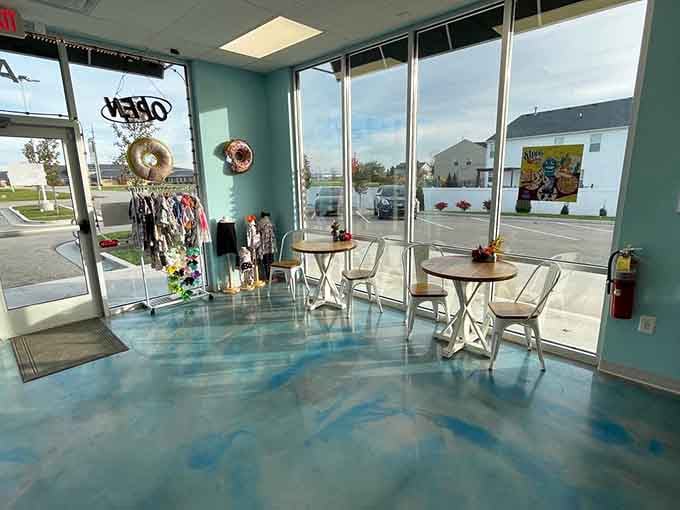 Sunlight streams through those windows like it's trying to get a better look at the donuts too.