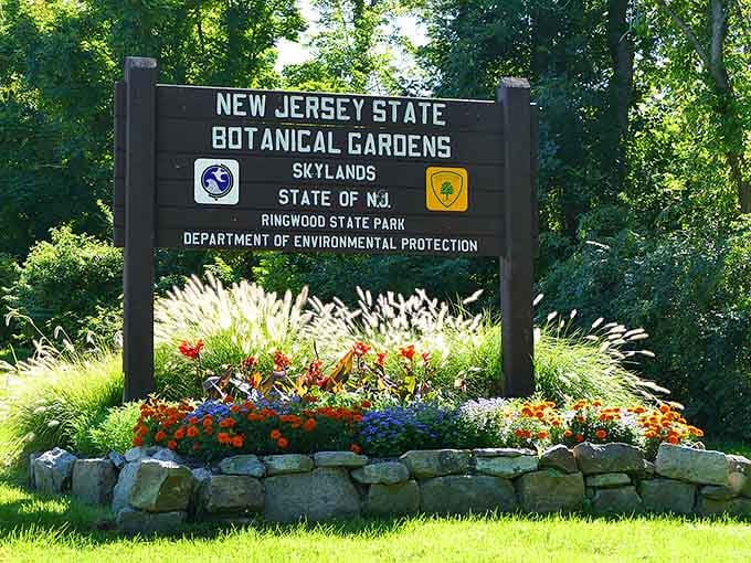 The sign that marks the entrance to your new favorite free escape from reality.